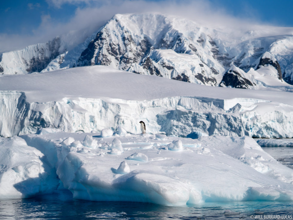 Antarctic | Photos Pictures Images