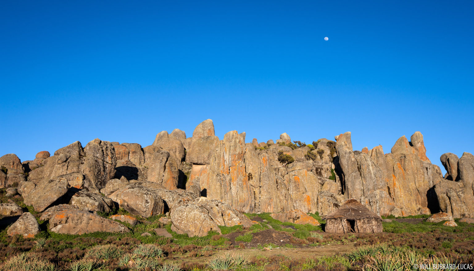 Bale Mountains National Park | Photos Pictures Images