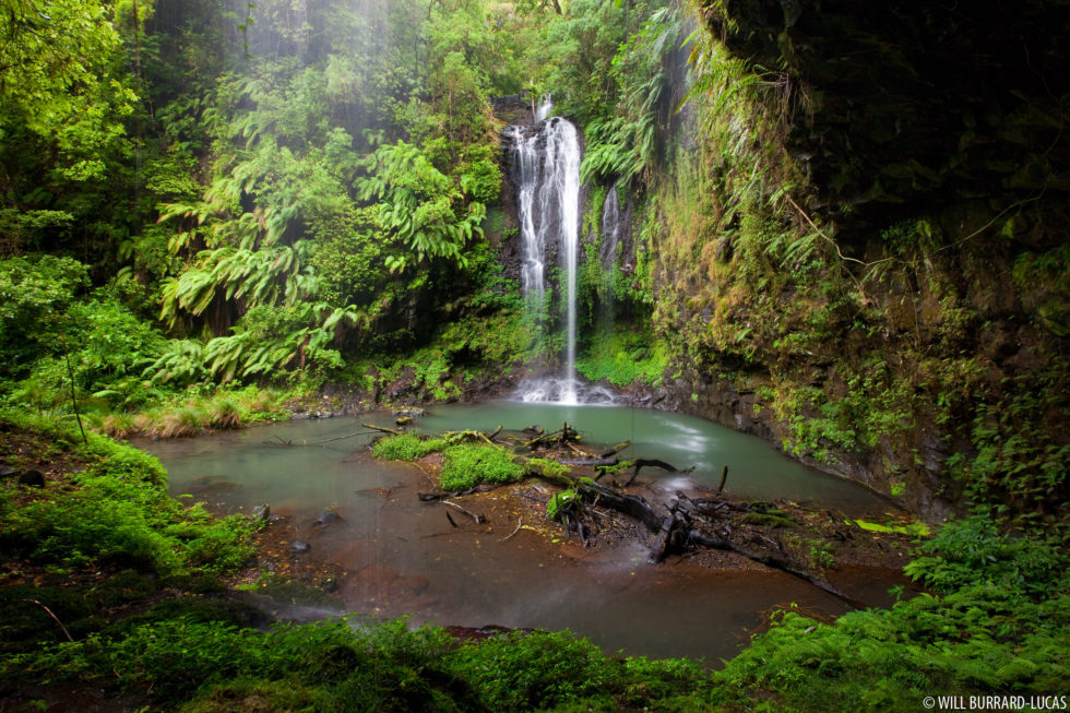 Amber Mountain National Park | Photos Pictures Images